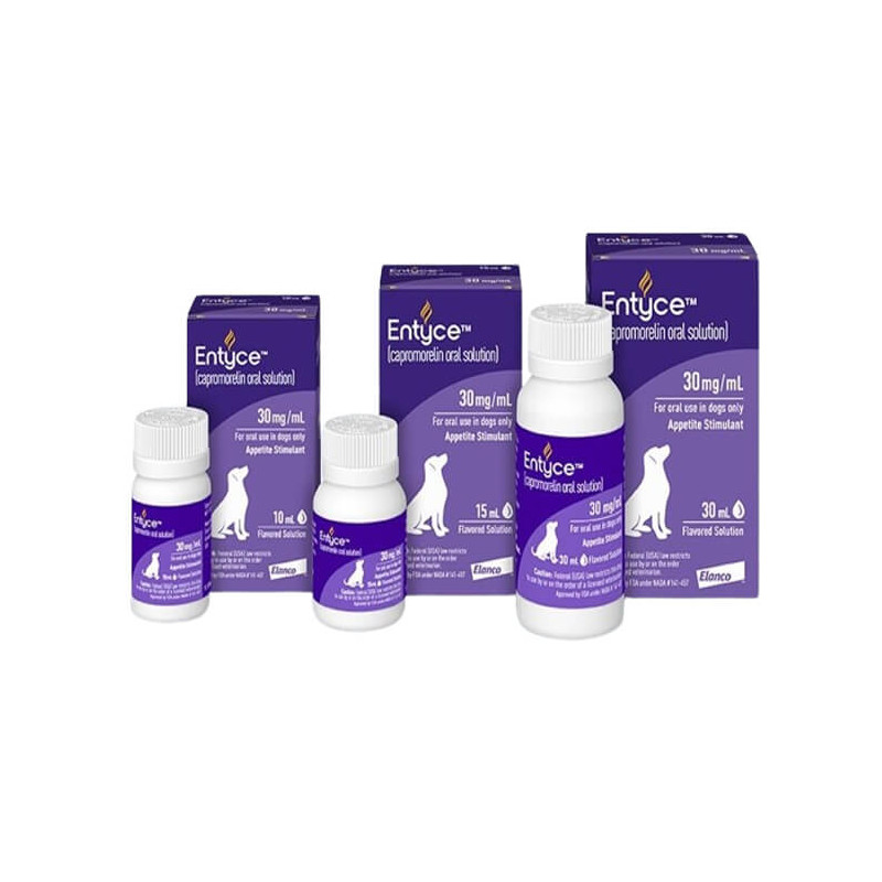 Entyce (capromorelin) Oral Solution - Bandana Rx